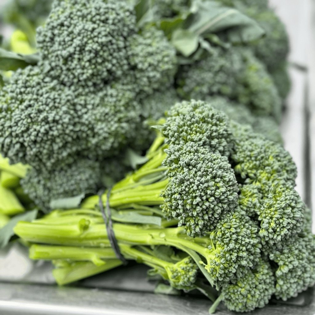 Broccolini - FireTrail Farm